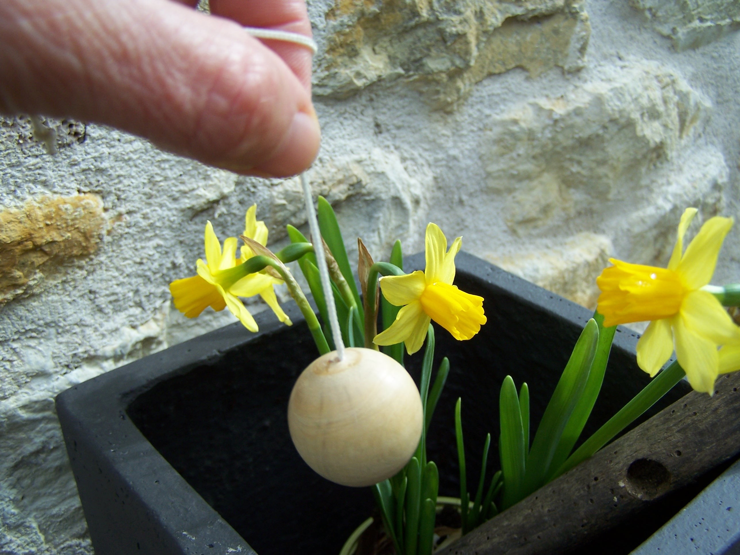 Bienvenue sur le site du CERGA | Centre d’Echanges et de Recherche ...