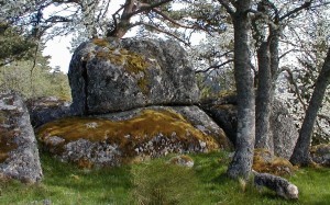 Bienvenue sur le site du CERGA | Centre d’Echanges et de Recherche ...